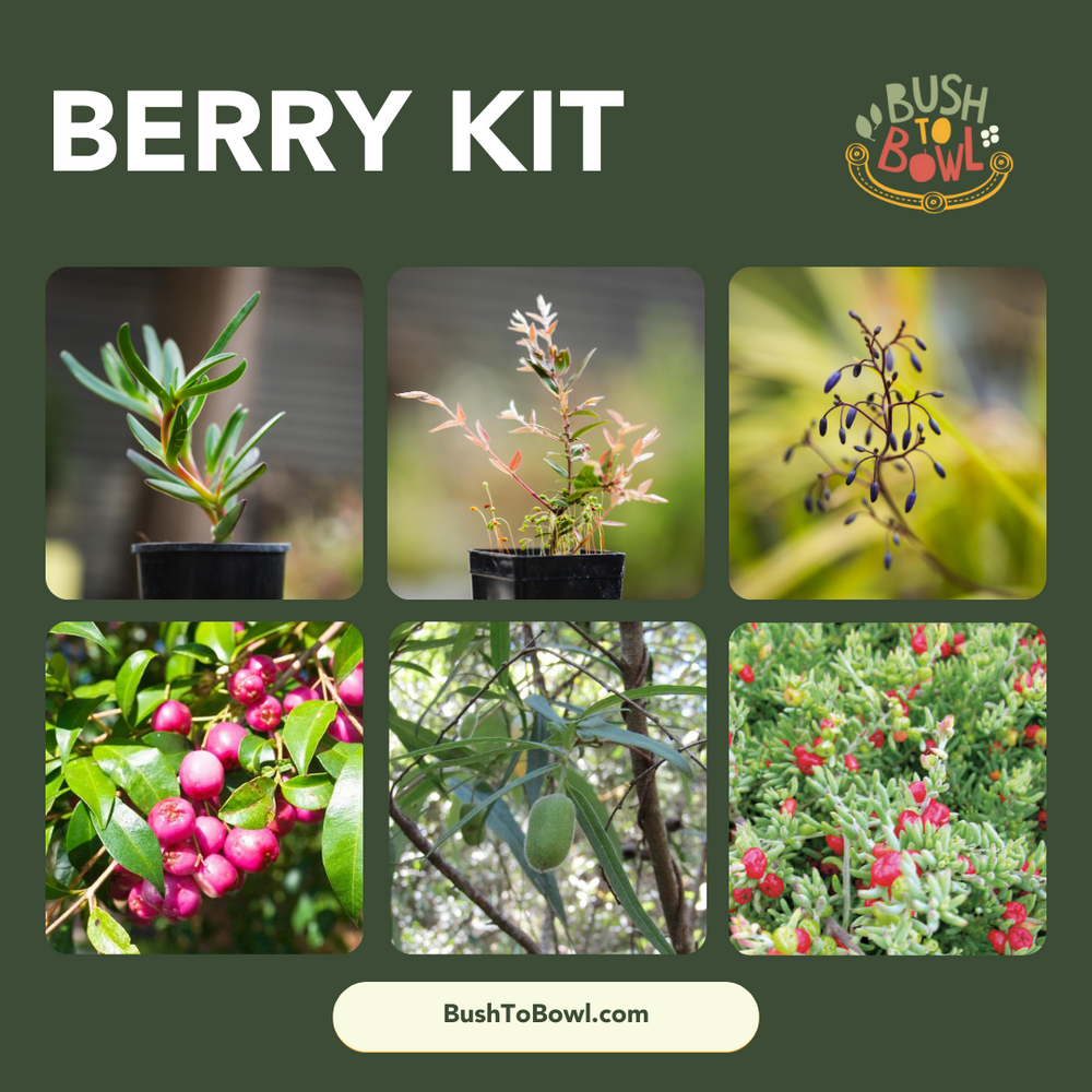 Berry Kit